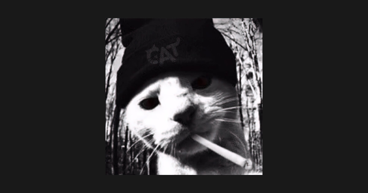 Funny Smoking Cat Meme, Funny Cat Smoke - Smoking Cat Meme - Hoodie ...
