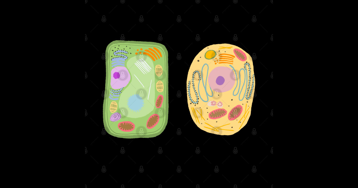 Cells - Science - Sticker | TeePublic