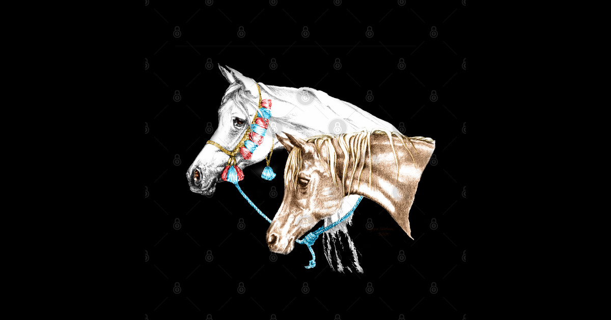 Morafic* and Moniet El Nefous. Arabian horses. - Arabian Horse ...