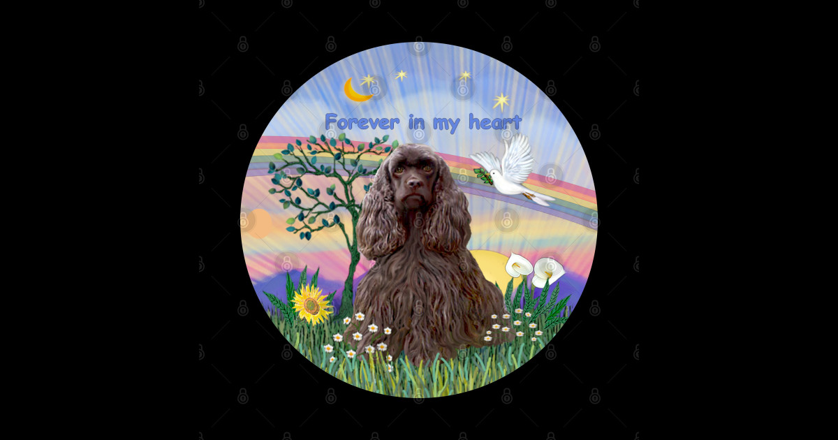 Chocolate Cocker Spaniel in Rainbow Bridge "Forever in my Heart ...