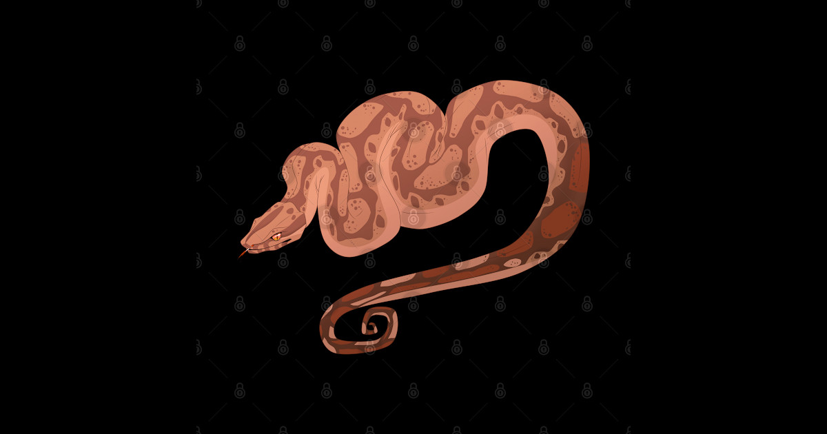 Red Boa Constrictor - Snake - Sticker | TeePublic