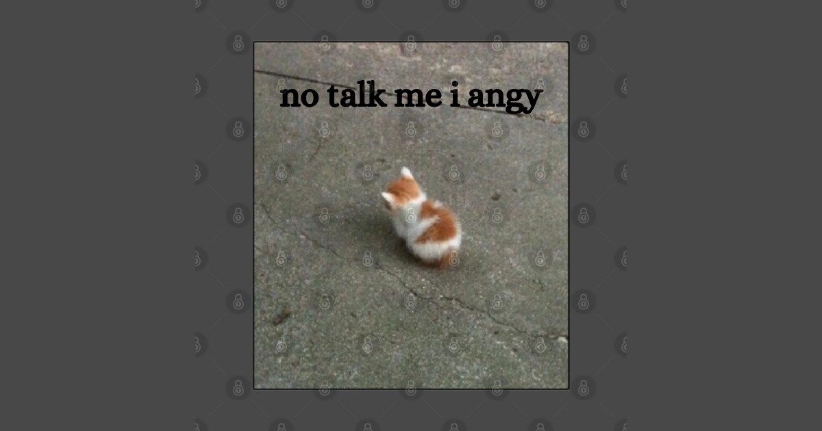 No Talk Me (Front & Back) - No Talk Me - T-Shirt | TeePublic