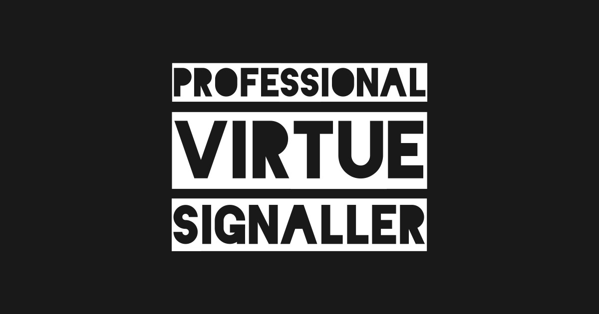 Professional Virtue Signaller - Virtue - T-Shirt | TeePublic