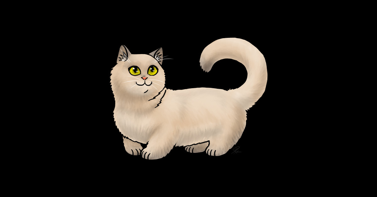 Cat - Munchkin Cat - Cream Shorthair - Munchkin Cats - Sticker | TeePublic