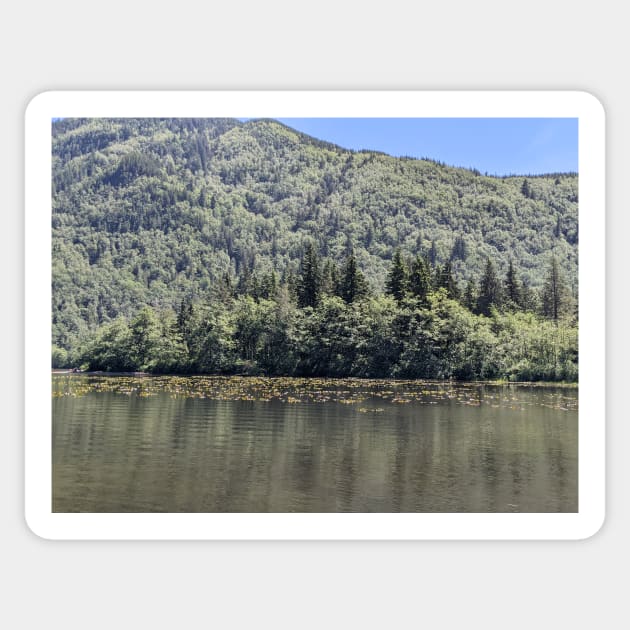 At the lake - Waterlilies - Sticker | TeePublic