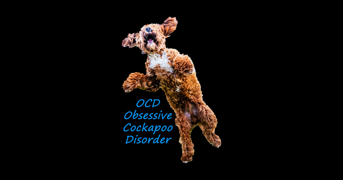 OCD Obsessive Cockapoo Disorder - Paul Thompson Photography - Sticker ...