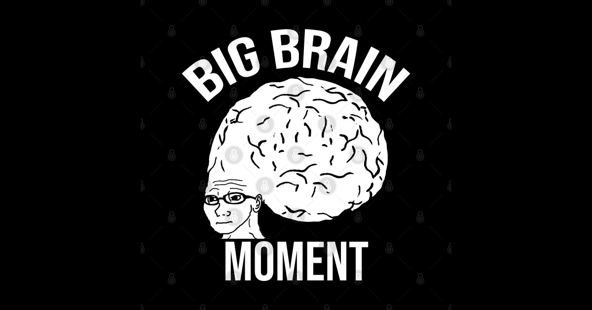 Big Brain Moment - Meme - Sticker | TeePublic