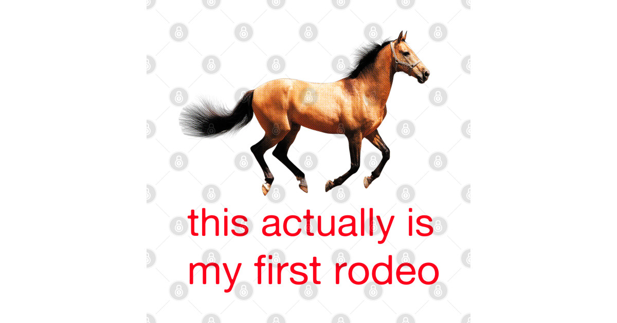 this actually is my first rodeo - Rodeo - T-Shirt | TeePublic