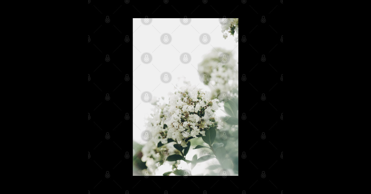 White Flowers - Bloom - Sticker | TeePublic