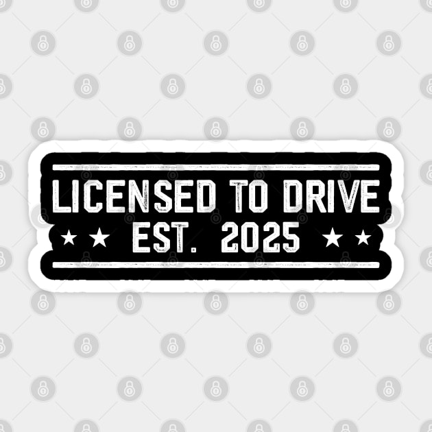 New Driver 2025 Teen Boys Male Driver License Teen Driver - Driver 2025 ...