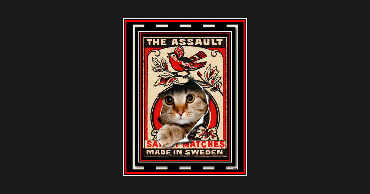 VERY INNOCENT CAT ON GIFTS FOR CAT PEOPLE - Cat Gifts For Cat Lovers ...