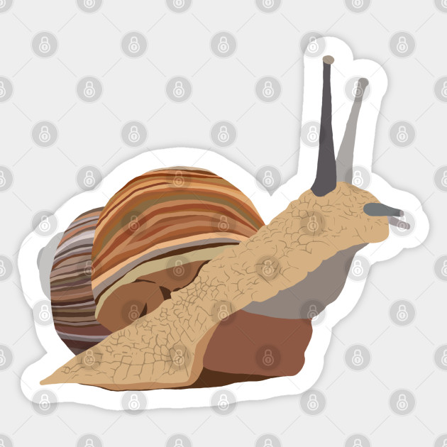 Snail - Snail - Sticker | TeePublic