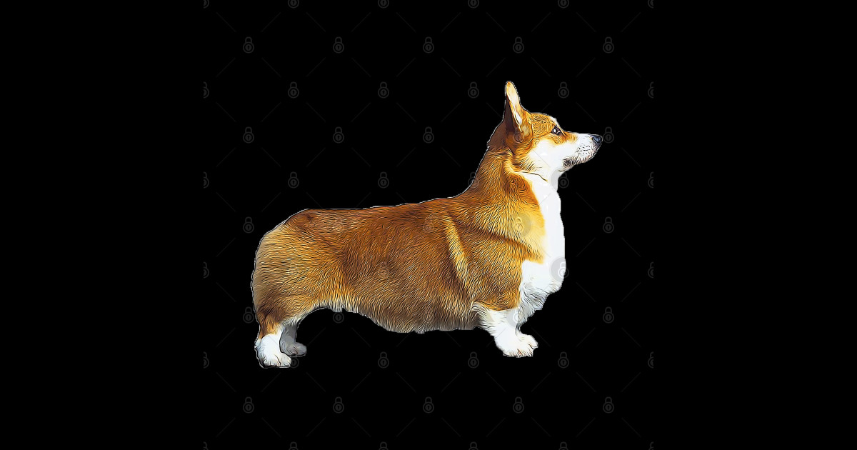 Corgi - Pembroke Welsh Corgi Stand - Corgi - Sticker | TeePublic