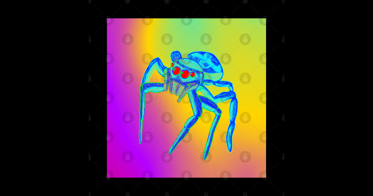 Jumping Spider Drawing V7 - Jumping Spider - Sticker | TeePublic