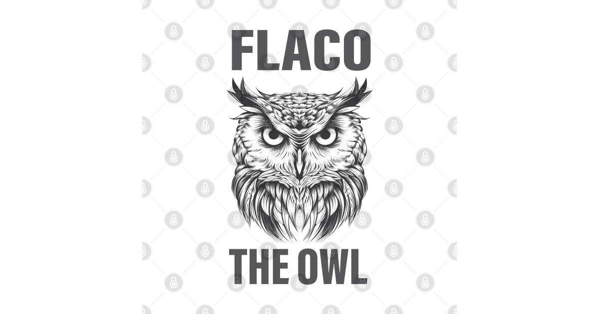 Flaco The Owl - Flaco - T-Shirt | TeePublic