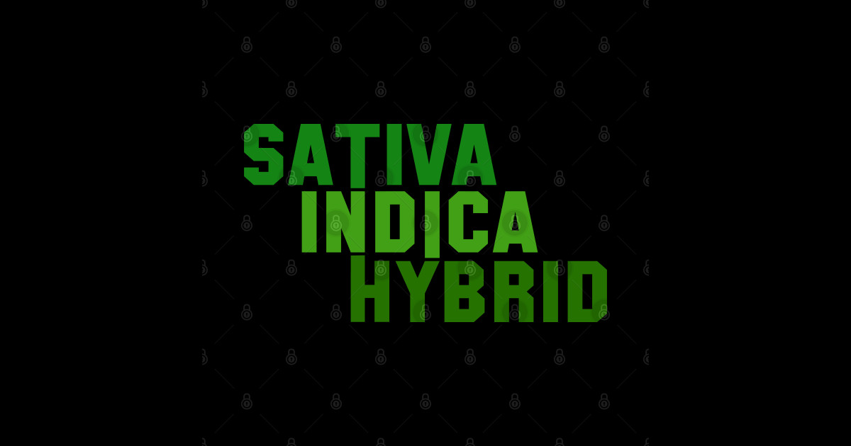 Sativa Indica Hybrid - Weed Clothing - Sticker | TeePublic