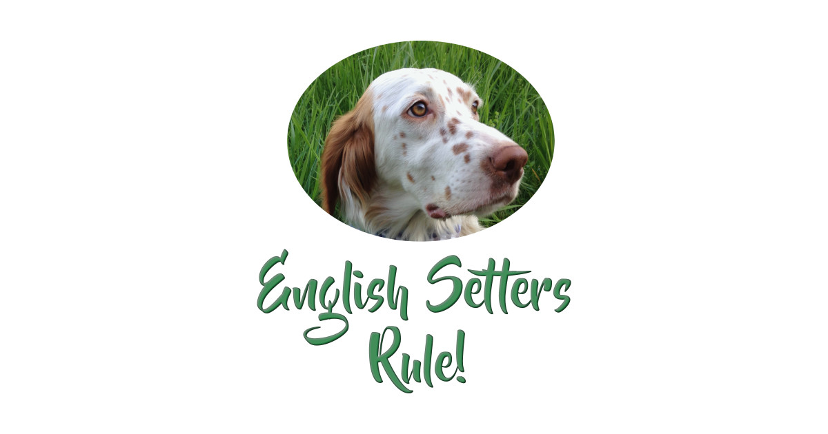 English Setters Rule! - English Setter - T-Shirt | TeePublic