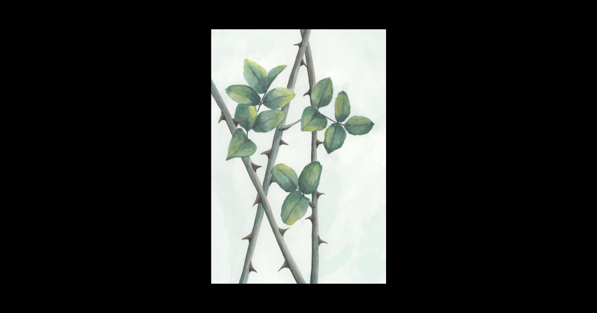 Rose Thorns - Thorns - Sticker | TeePublic