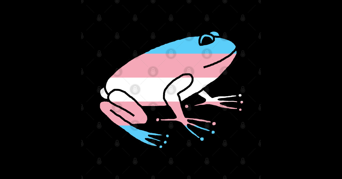 Transgender Pride Flag Frog - Transgender Pride - Sticker | TeePublic