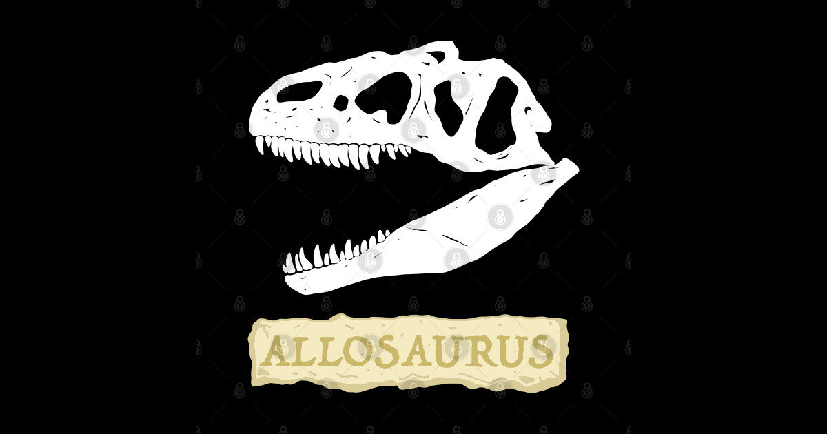 Allosaurus Skull - Allosaurus - Sticker | TeePublic