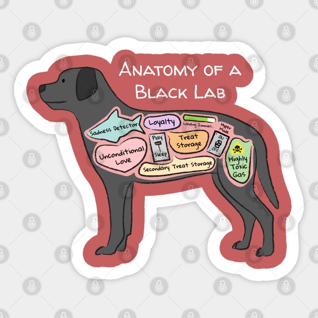 Anatomy of a Black Lab - Light Text - Black Labrador - Sticker | TeePublic