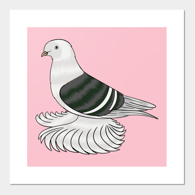 Saxon Shield pigeon bird cartoon illustration - Saxon Shield Pigeon ...