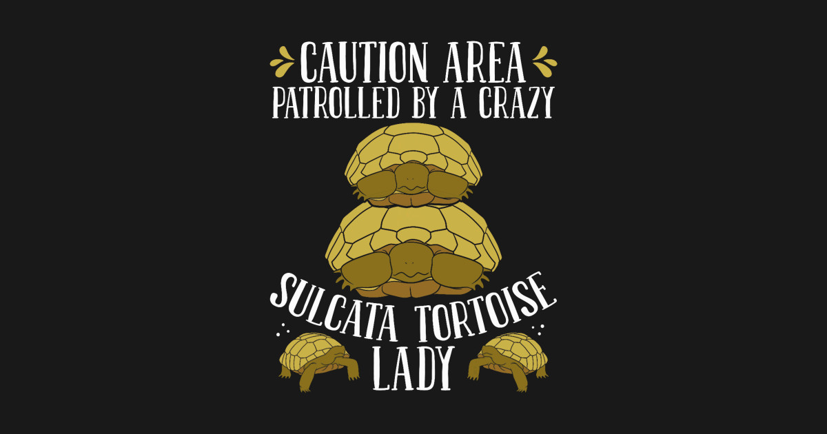 Turtle Pet Sulcata Tortoise Lover Turtle African Spurred Tortoise ...