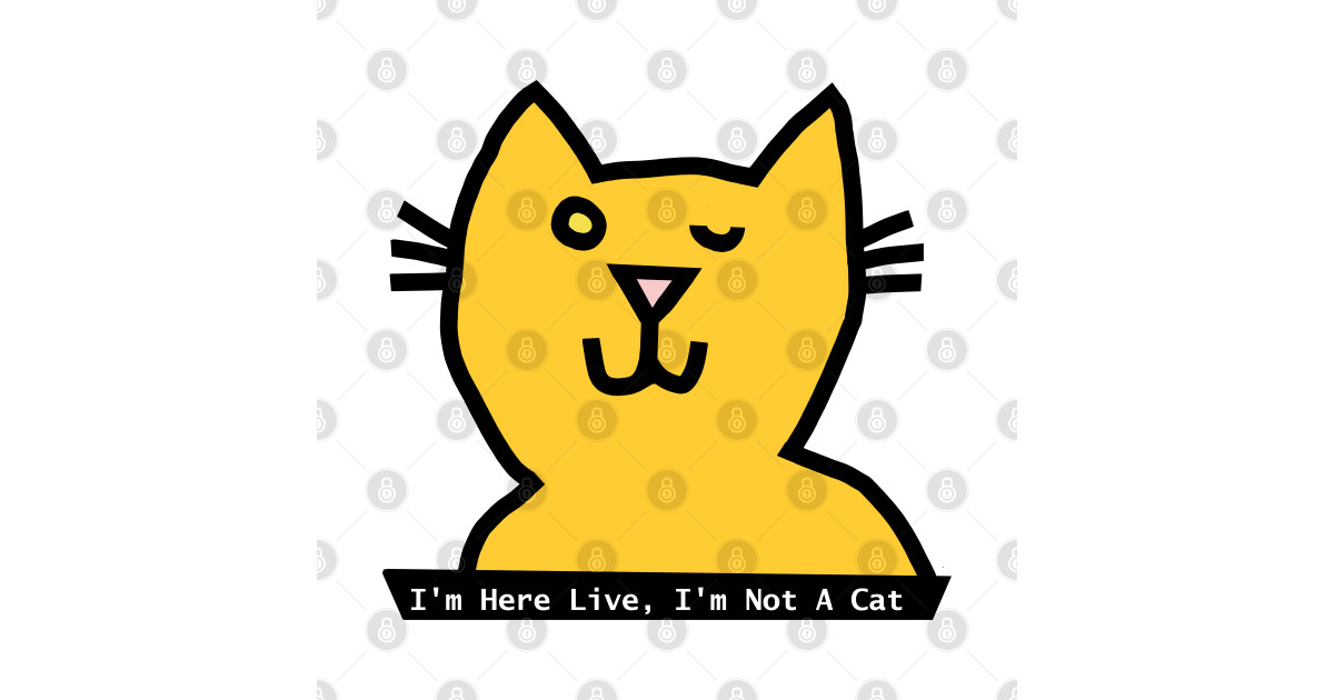 I'm Not a Cat says Meme Cat Winking - Meme Cat - T-Shirt | TeePublic