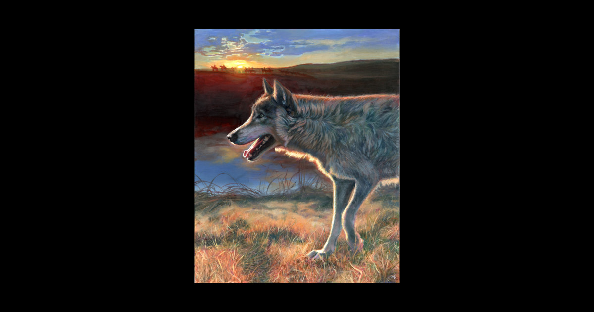 Two Socks - Dances with Wolves - Two Socks - Posters and Art Prints ...