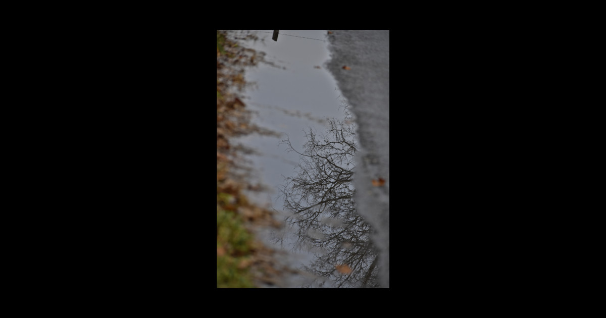 Mud Puddle Reflection - Puddle Reflections - Sticker | TeePublic