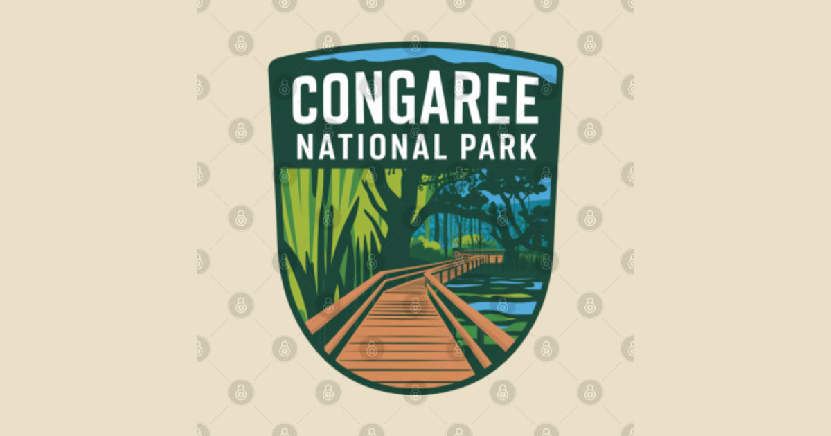 Boardwalk Loop Congaree National Park South Carolina - Congaree ...