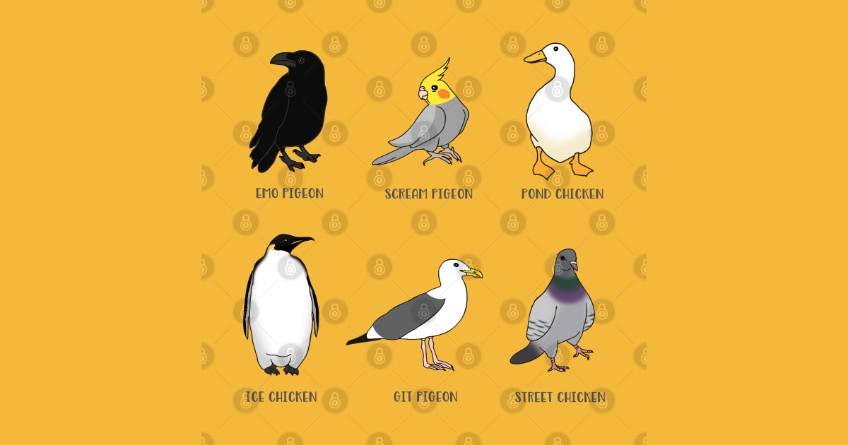 crow emo pigeon, penguin ice chicken, pigeon street chicken, duck pond ...
