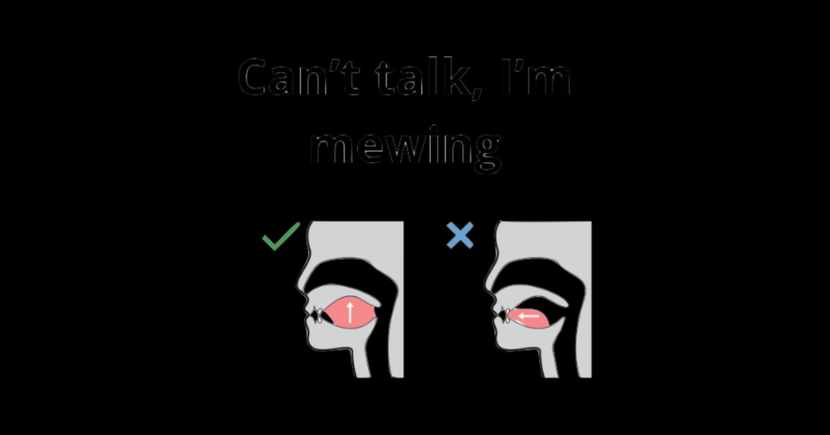 Can't talk I'm mewing meme looksmax graph quote funny - Meme - Pin ...