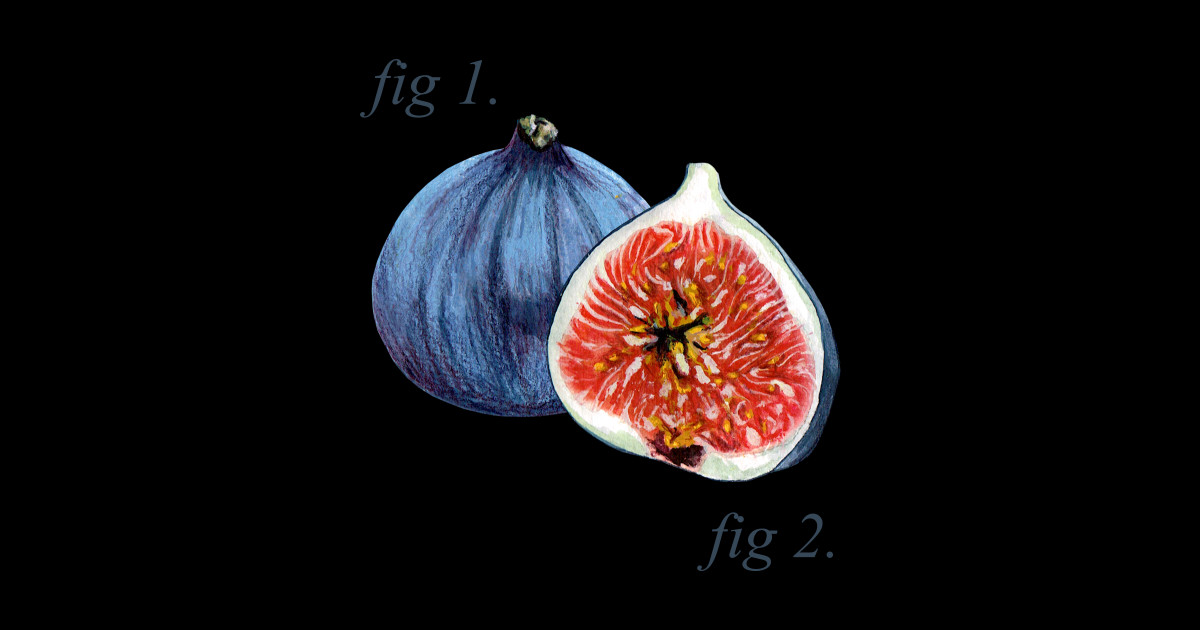 Annotated Figs diagram - Science Joke - Sticker | TeePublic