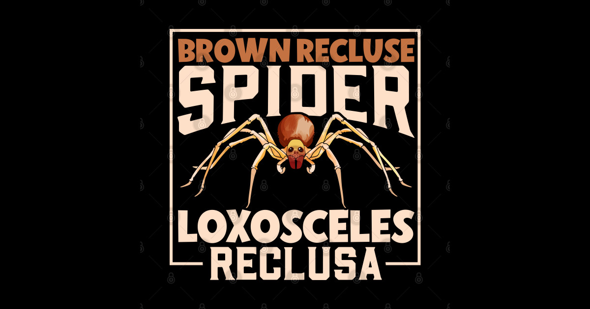 Brown recluse spider - Brown Recluse Spider - Sticker | TeePublic