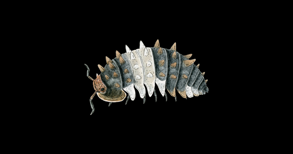 Isopoda sp. "Thai Spiky" - Isopod - Sticker | TeePublic