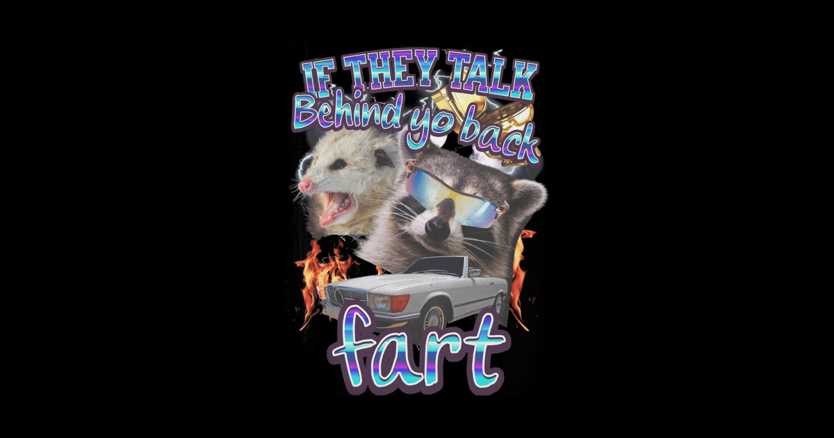If they talk behind yo back fart Raccoon Possum - If They Talk Behind ...