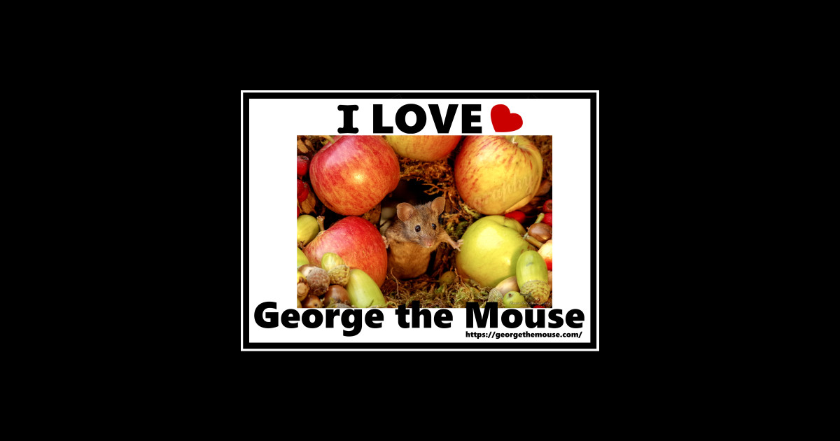 I love George the mouse in a log pile house - Love - Pin | TeePublic
