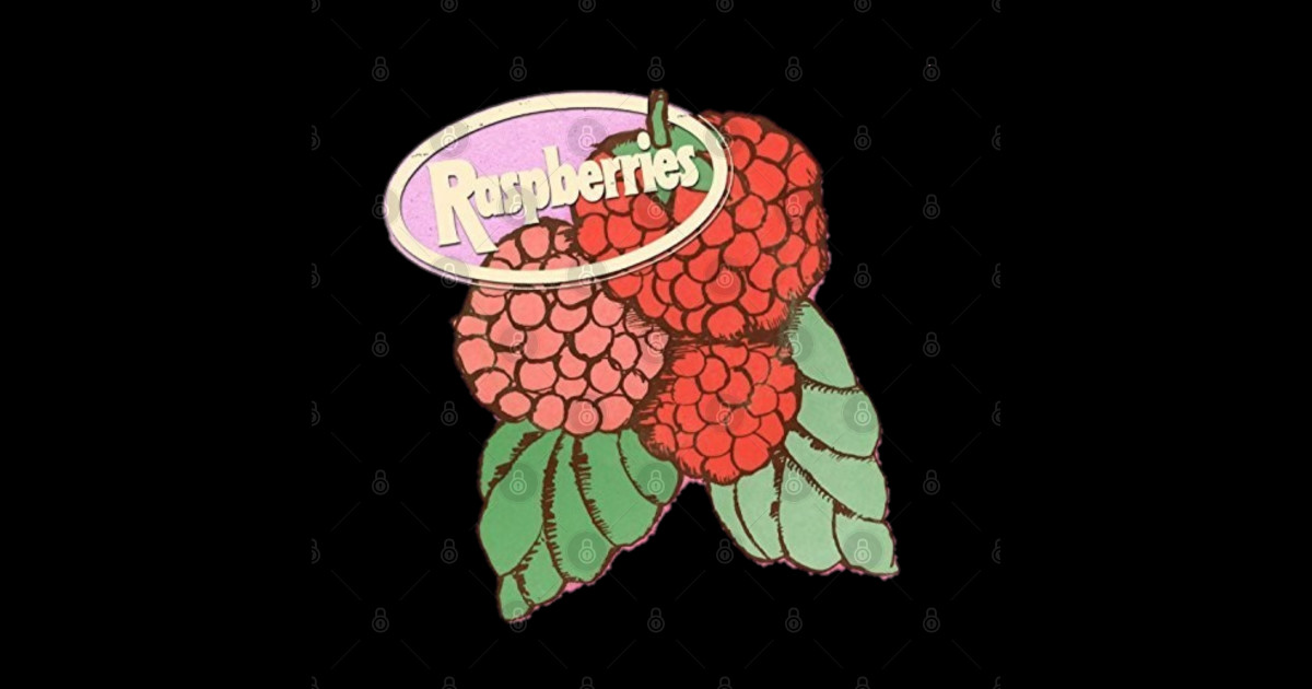 Raspberries Retro - Raspberries - Sticker | TeePublic