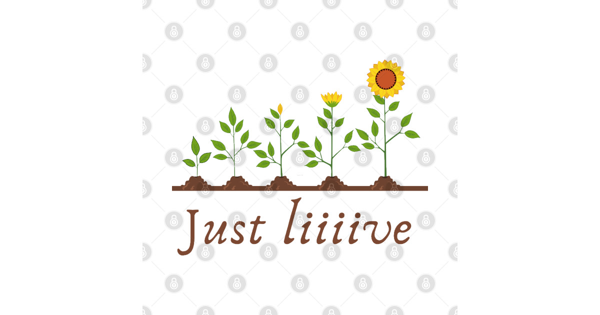 Just Live your life and forget the difference. - Lifestyle Live Success ...