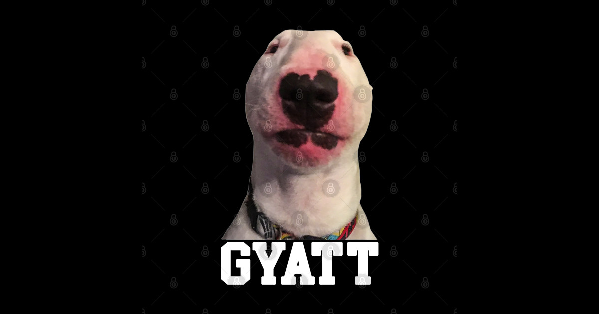 Gyatt Funny Meme Reaction Cringe Gyatt - Gyatt - Sticker | TeePublic