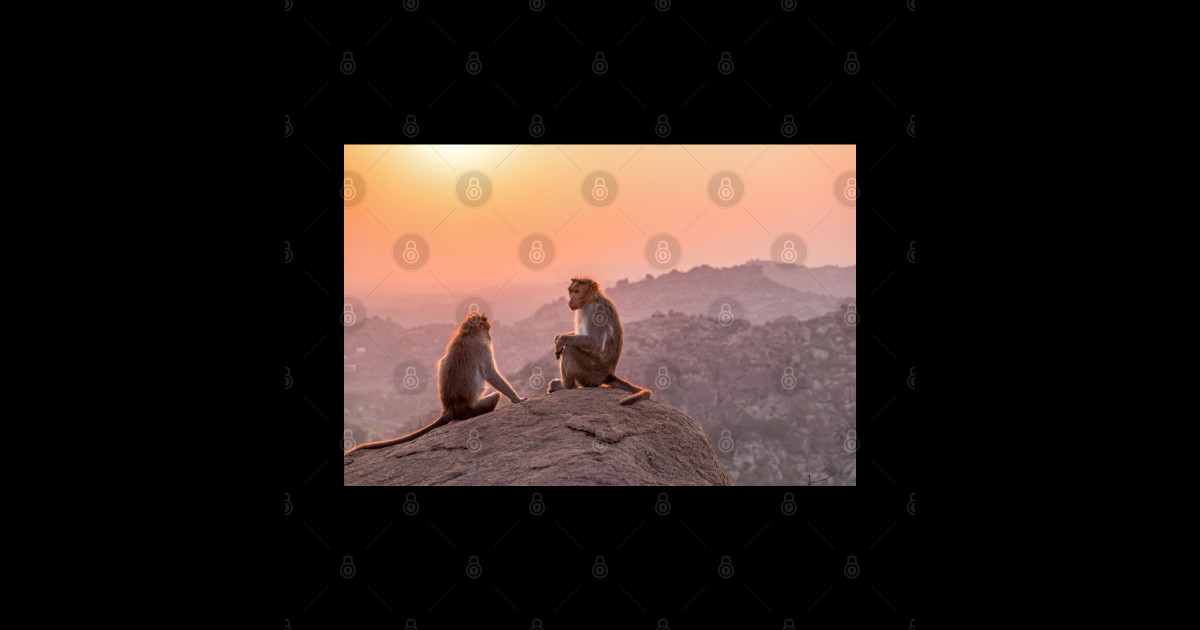 Hampi temple monkeys, India - India - Sticker | TeePublic