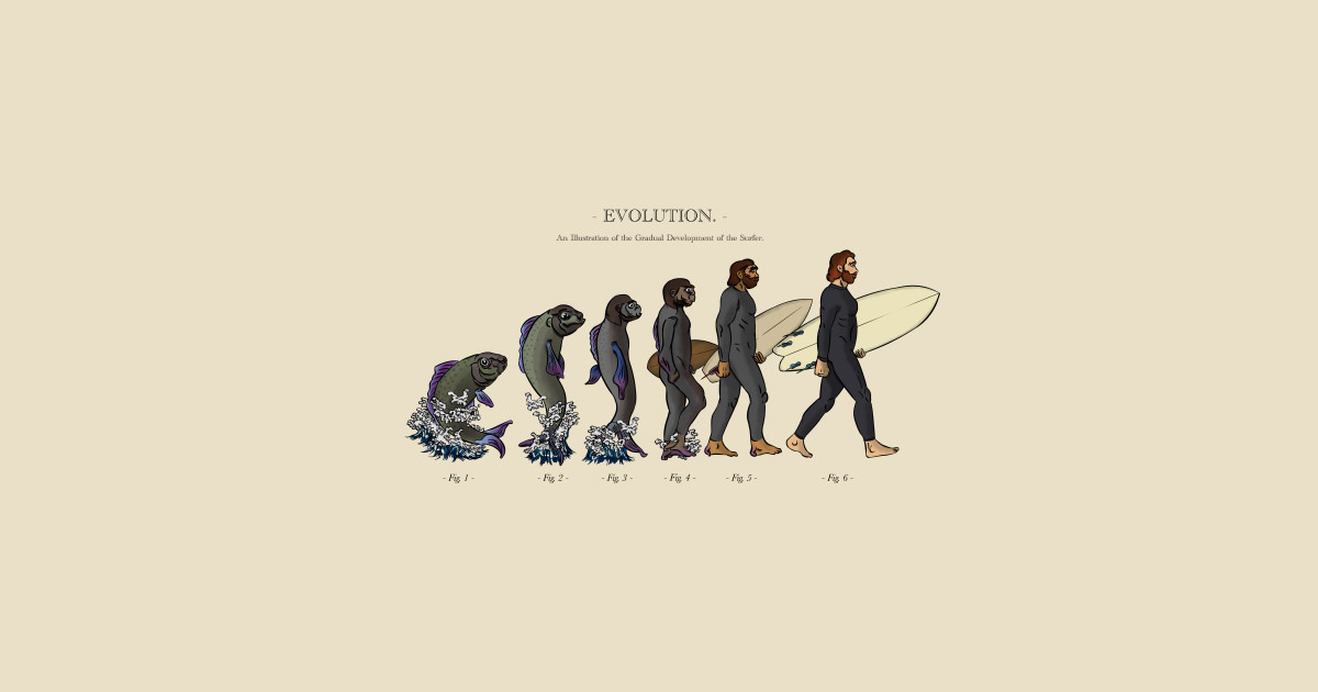 Evolution of Surfer - Surfer - T-Shirt | TeePublic