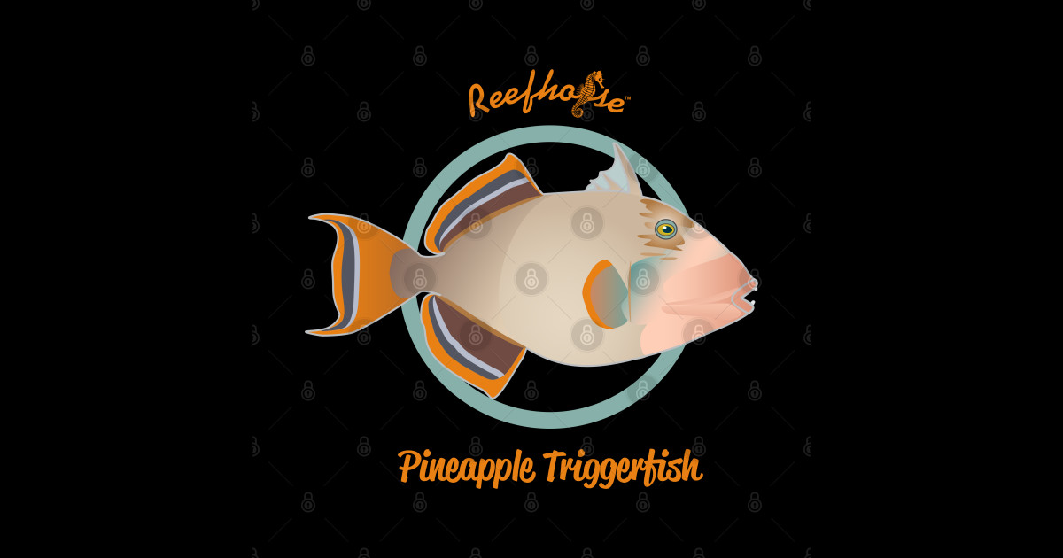 Pineapple Triggerfish - Reefhorse - Sticker | TeePublic