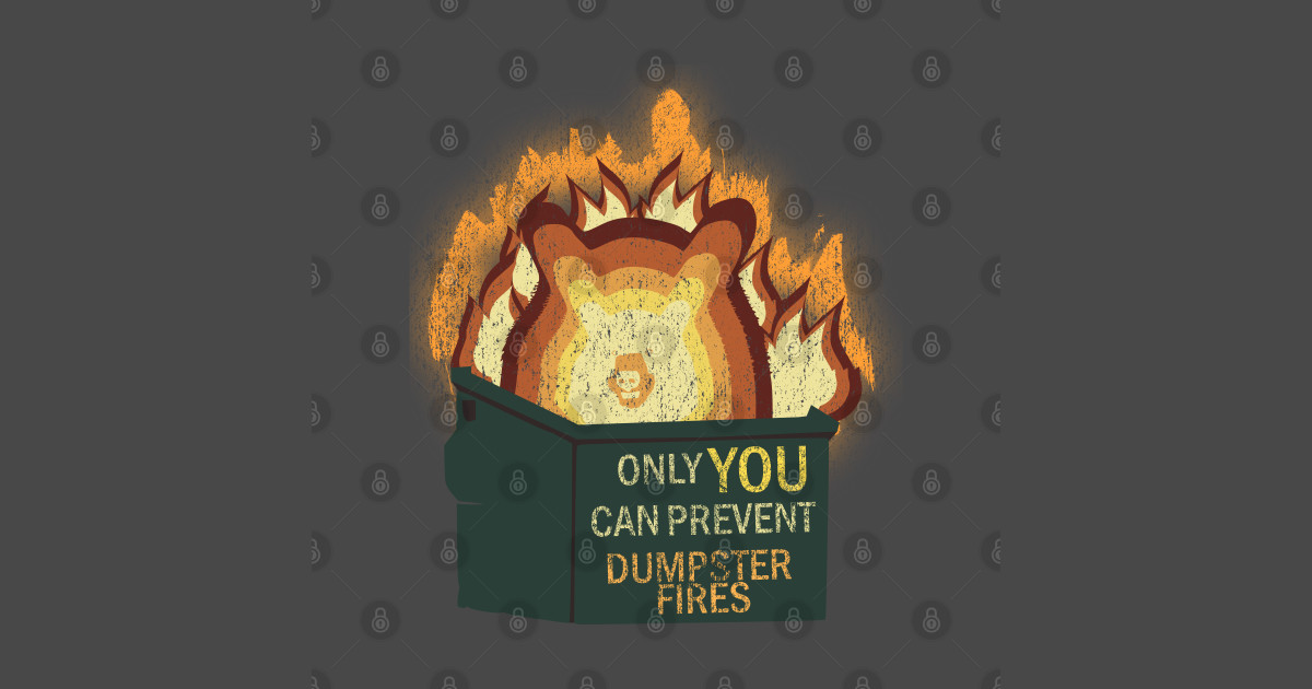 Only YOU Can Prevent Dumpster Fires - Dumpster Fire - Baseball T-Shirt ...