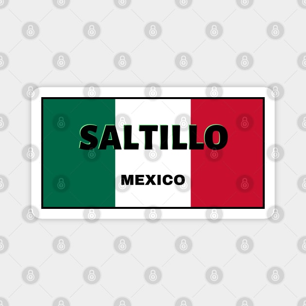 Saltillo City in Mexican Flag Colors - Mexico Flag - Magnet | TeePublic