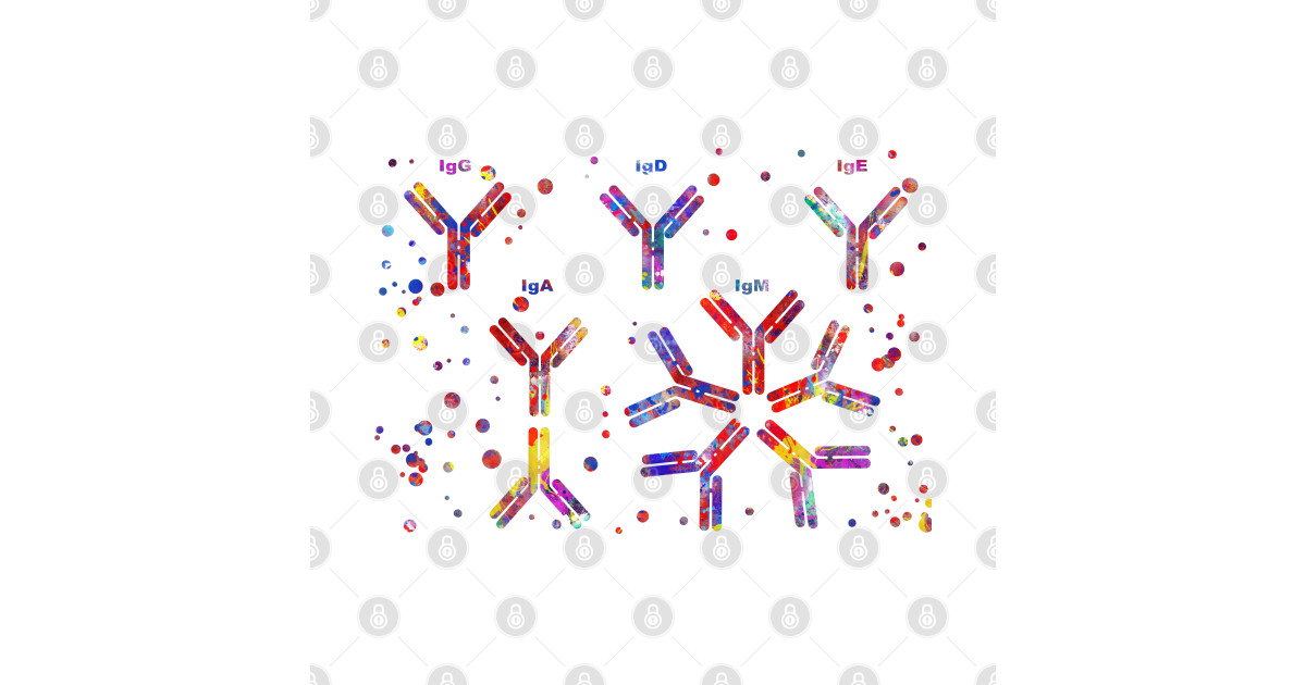 Antibody molecule - Antibody Molecule - Posters and Art Prints | TeePublic