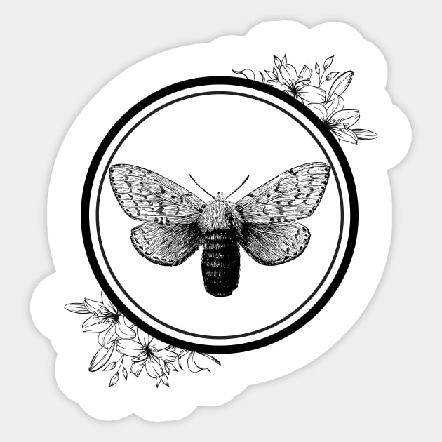 Vintage Gypsy Moth - Moth Lover - Sticker | TeePublic