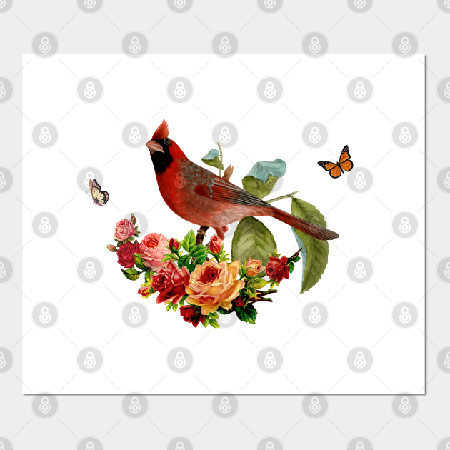 Romantic Red Cardinal Bird With Butterflies & Roses - Red Cardinals ...