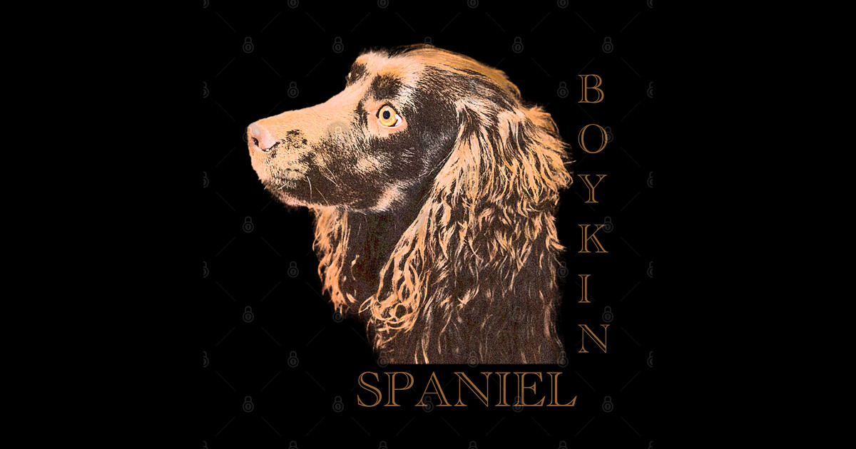 Boykin Spaniel Fan Art Sketch - Boykin Spaniel - Sticker | TeePublic